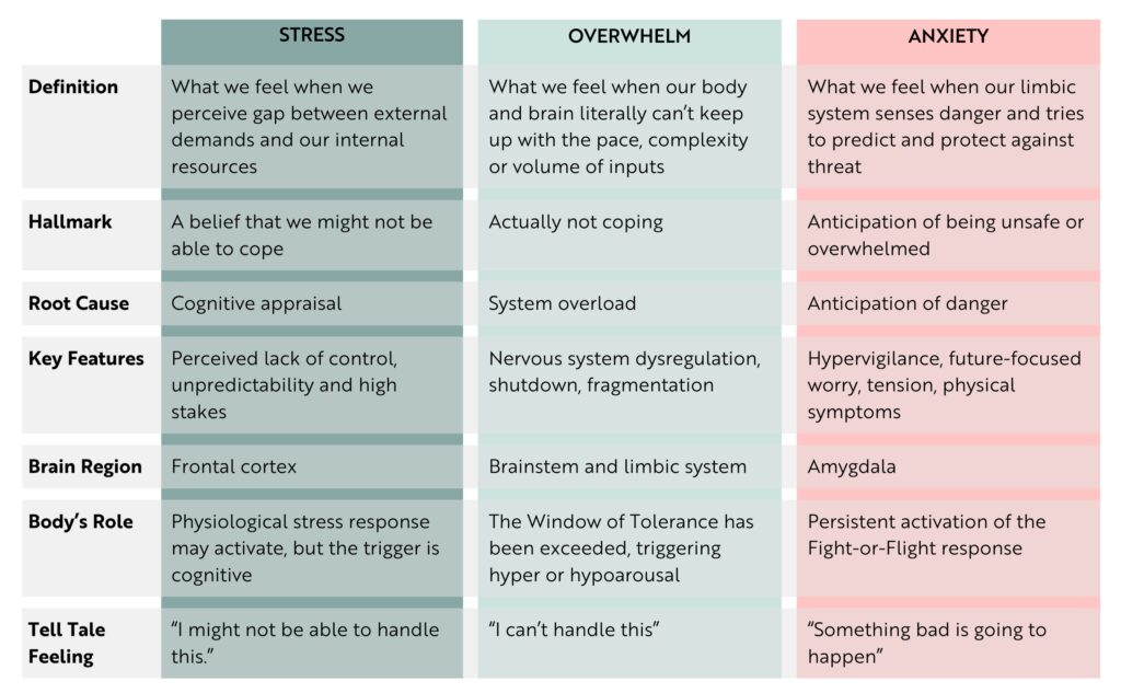 When It's All Too Much: Understanding Stress, Overwhelm and Anxiety ...